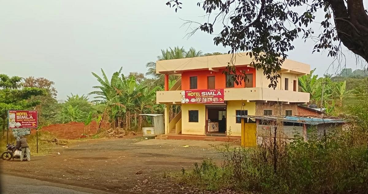 Forest deemed to be theirs, but animals reserve no right to peace