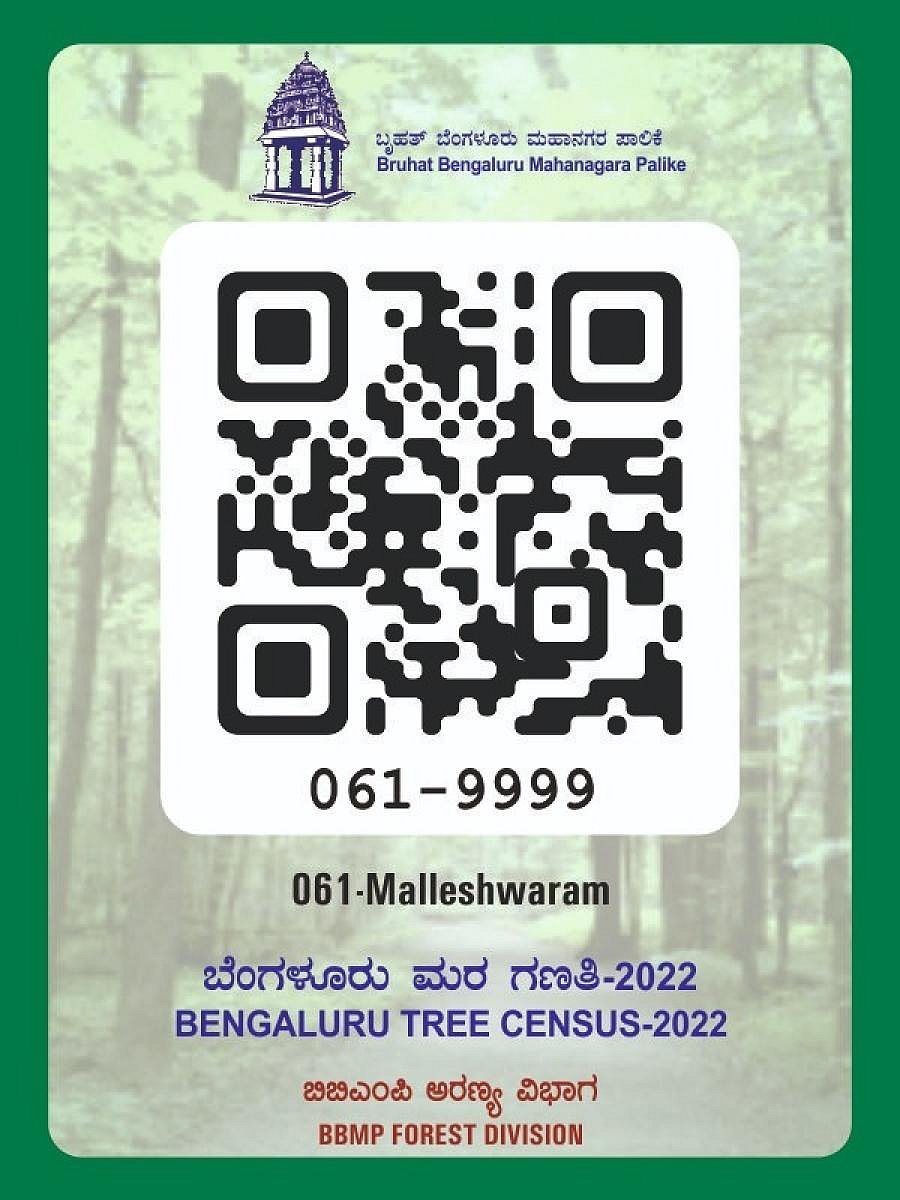 Tree census in different avatar: BBMP tries out fixing QR codes