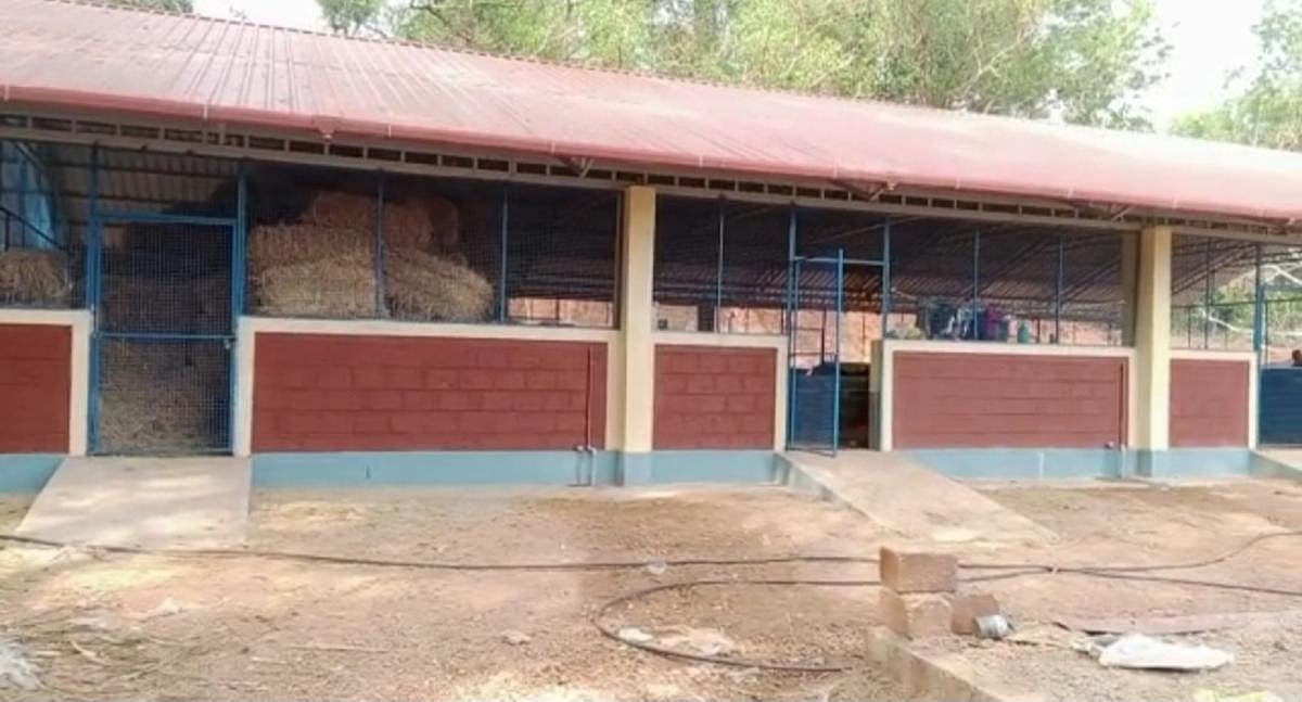 District Govt Gaushala starts functioning at Ramakunja