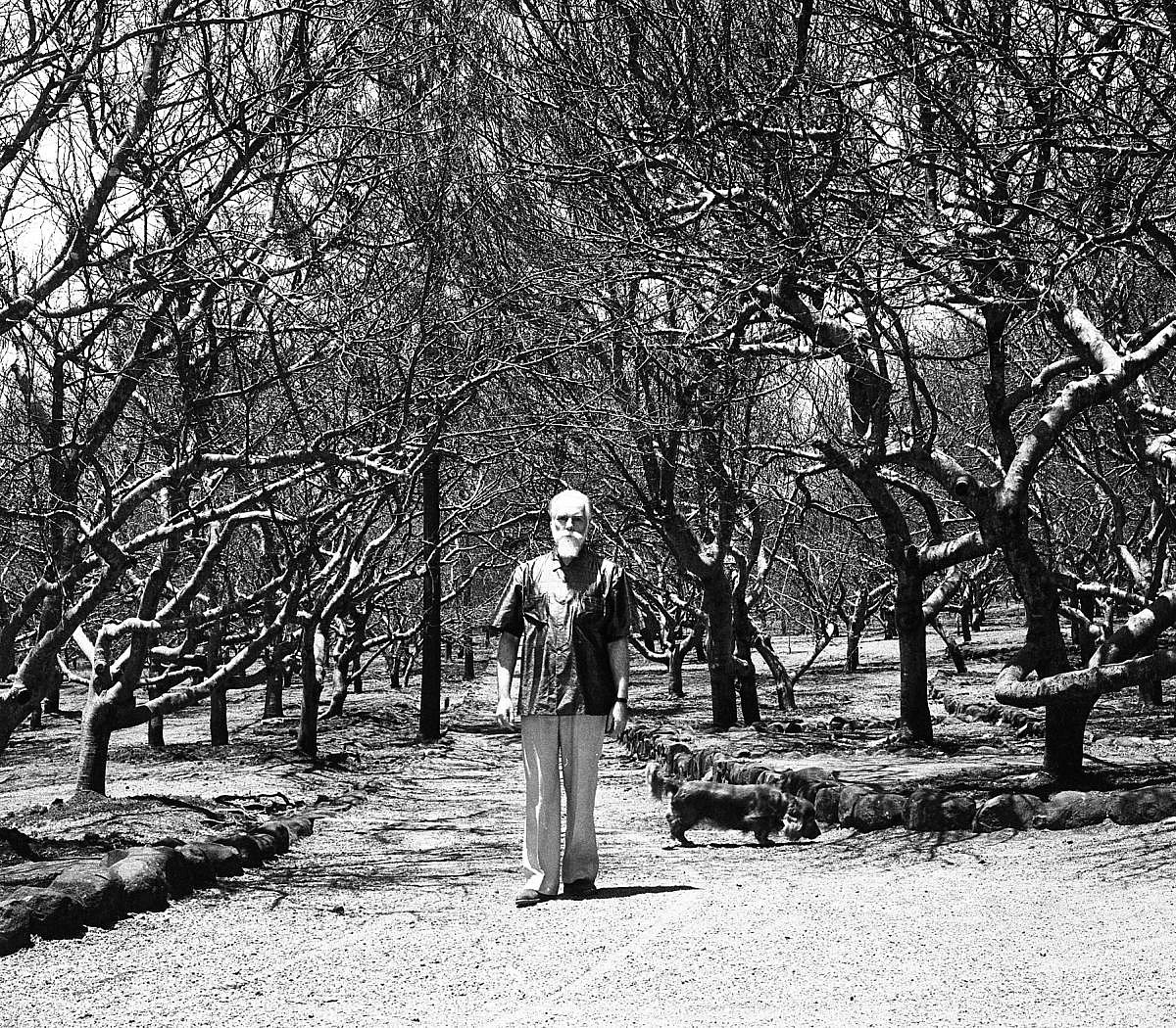 From Russia, with love: The Svetoslav story