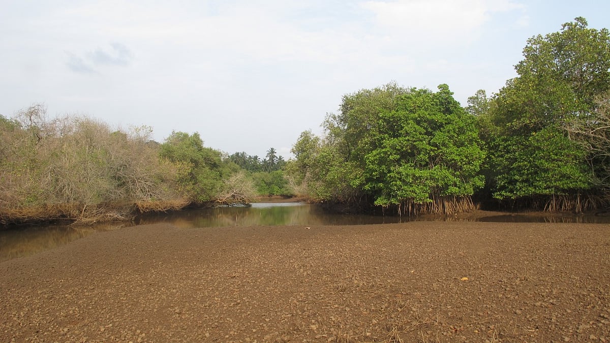 Satellite study identifies critical impacts of coastal inundation in Mumbai