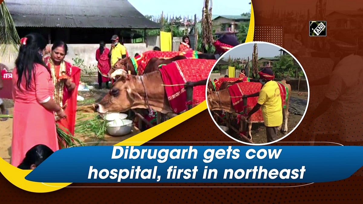 Dibrugarh gets cow hospital, first in Northeast